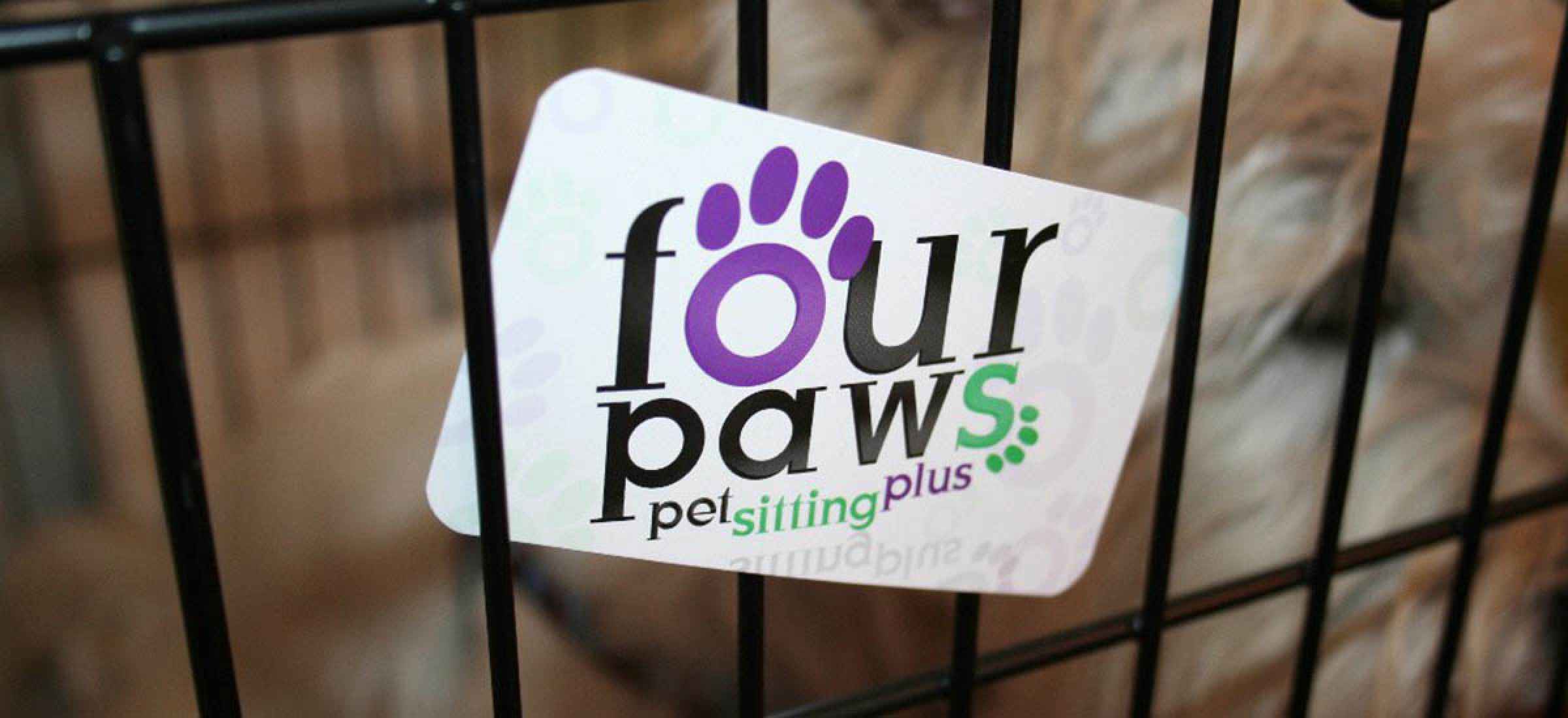 Four Paws Branding • Trendsetters Media Group